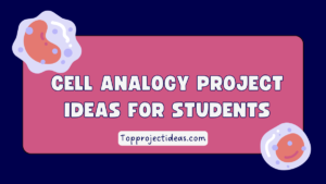 240 Cell Analogy Project Ideas For Students